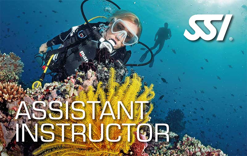 Assistant Instructor - Maldivers Diving Centre | Maldives